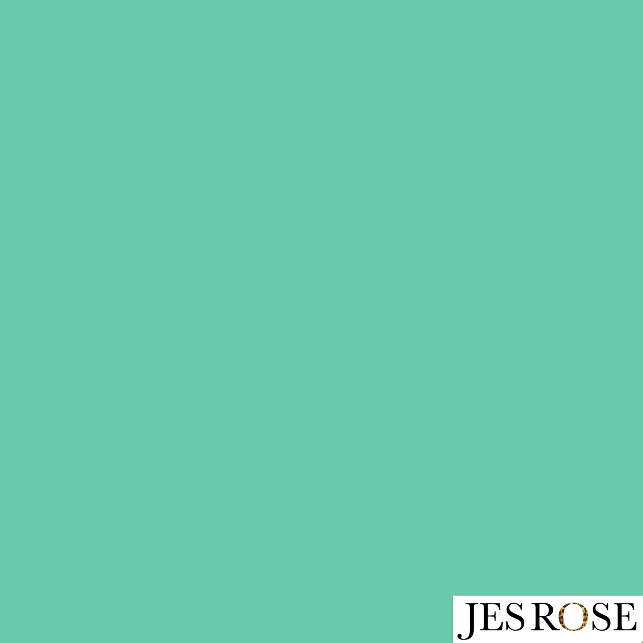Mint Adhesive Floor/Wall/Window Vinyl – Jes Rose